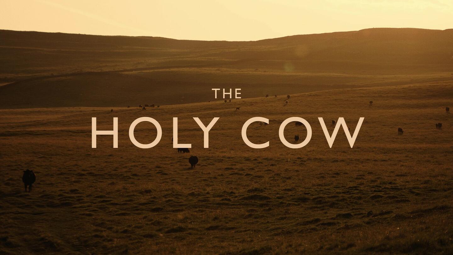 Watch The Holy Cow Film | Farmison & Co - Farmison & Co