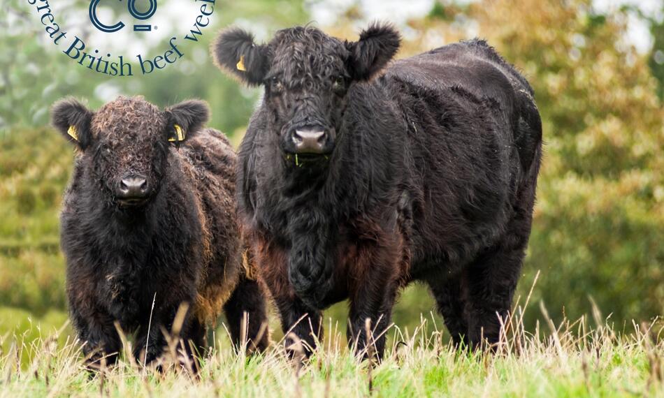 Search - Farmison & Co