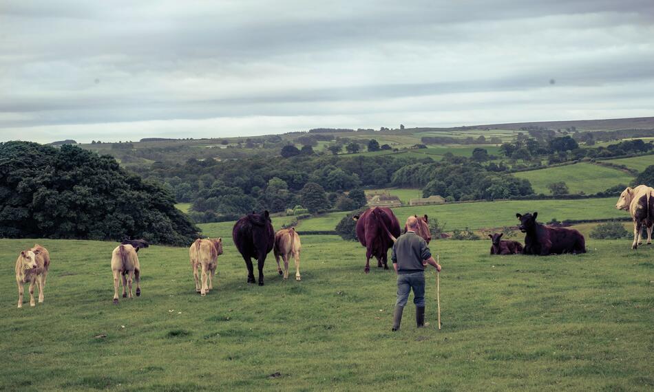 Why Farmison? | Our Story - Farmison & Co