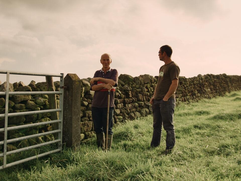 Watch The Holy Cow Film | Farmison & Co - Farmison & Co