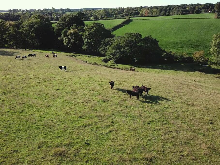 Our Story - Farmison