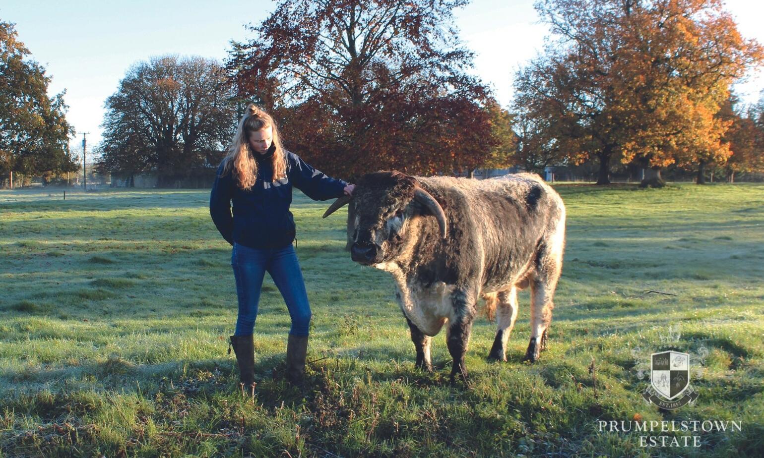 Prumpelstown Estate Regenerative agriculture - Farmison & Co