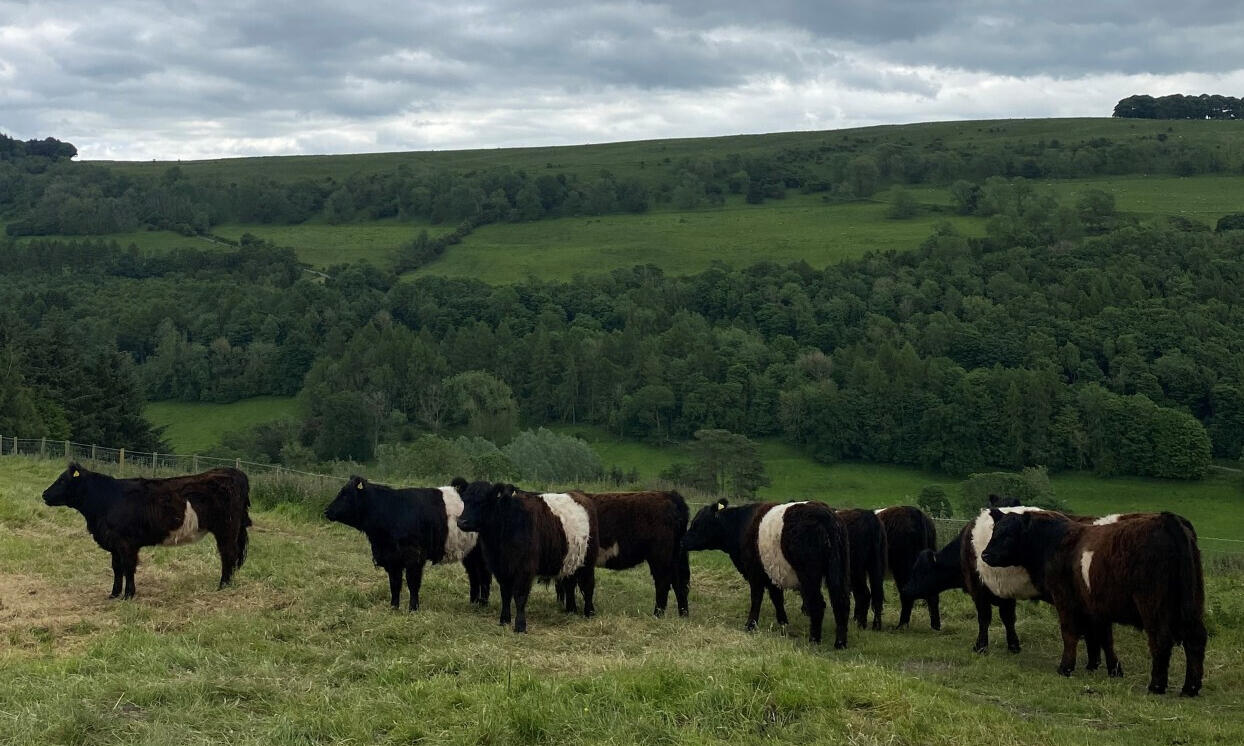 An Update from Our Founder | August 2022 - Farmison & Co