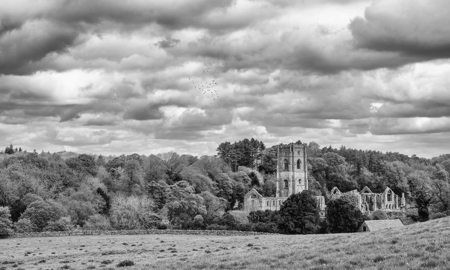 An Update from Our Founder | April 2022 - Farmison & Co