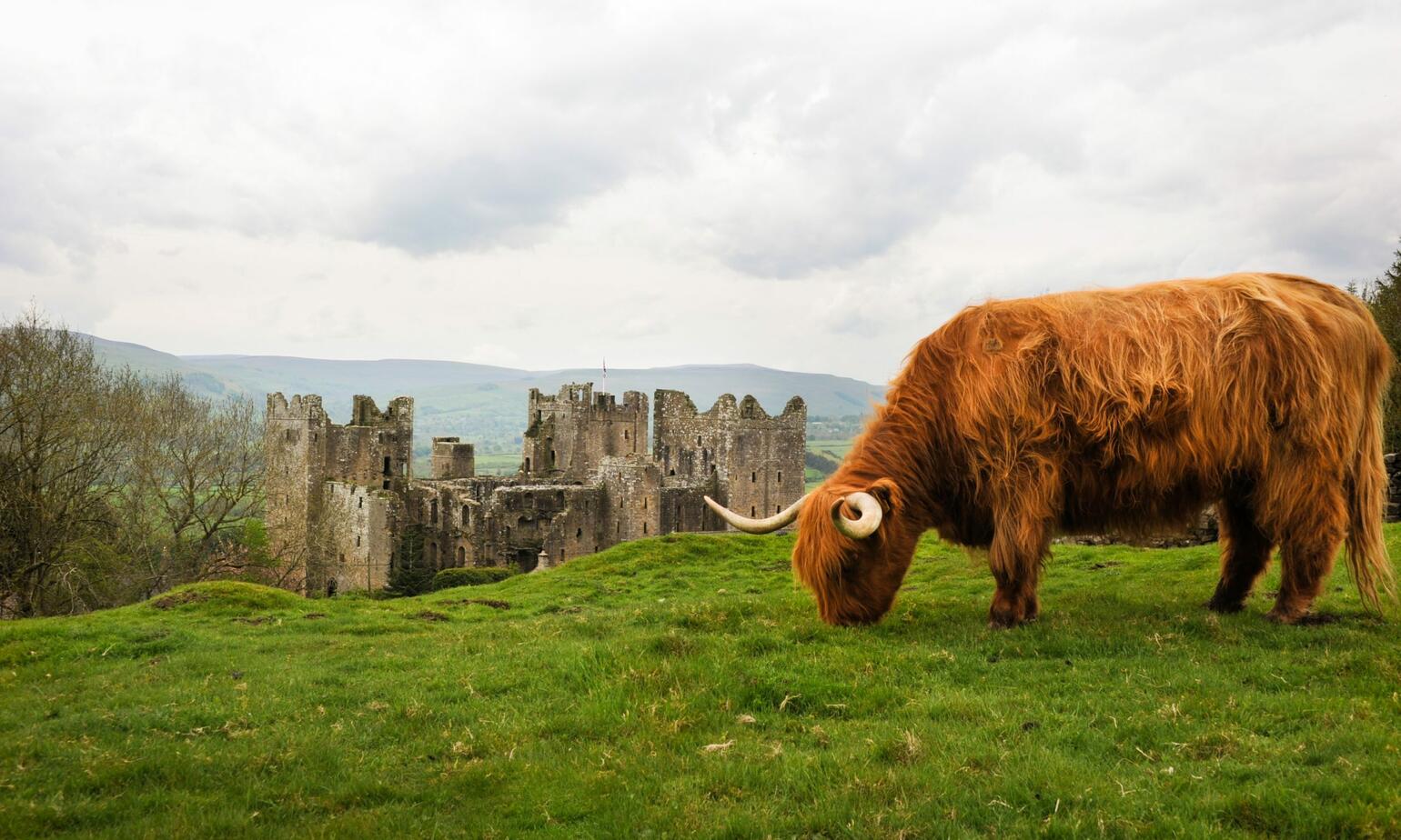 Monthly Eco Update | May 2021 - Farmison & Co