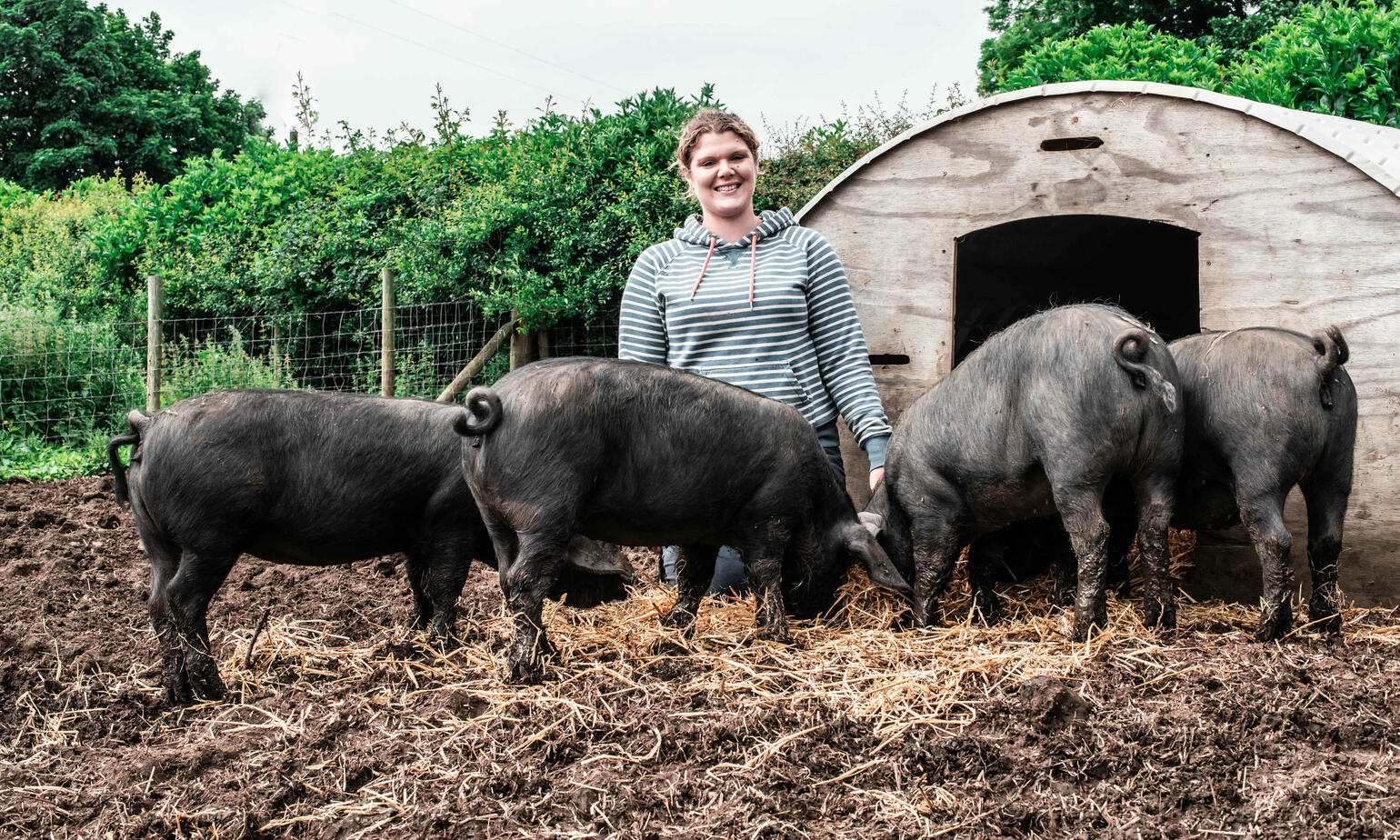 Meet The Farmer: Rowan Simms - Farmison & Co