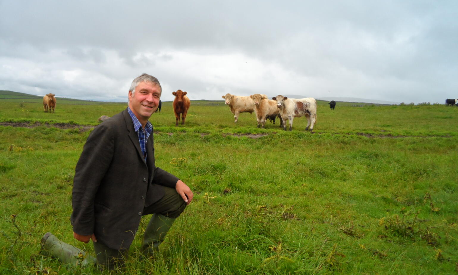 Frank Carr: Heritage Breed Beef Farmer - Farmison & Co