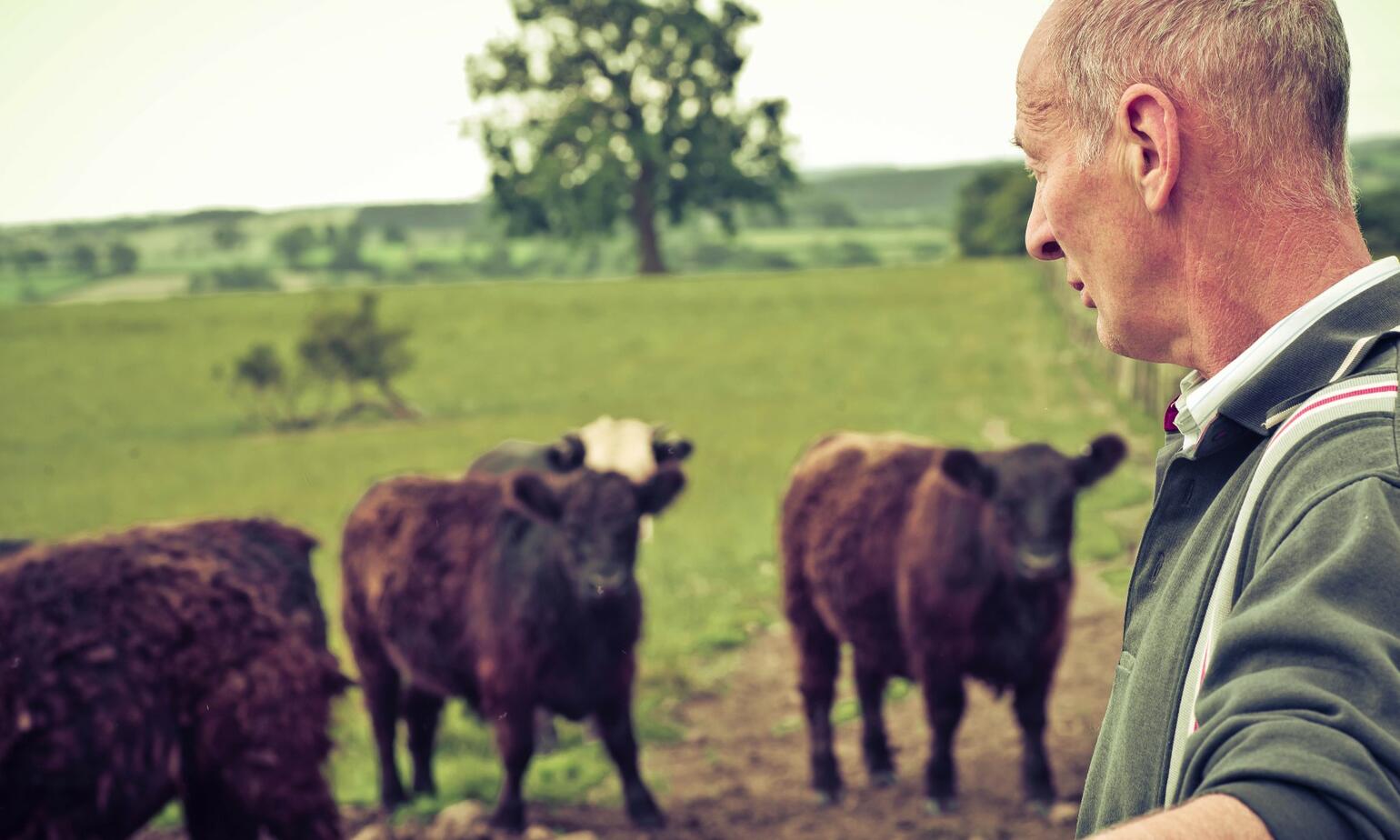 Our Story | How Farmison & Co™ Are Revolutionising Online Butchery ...