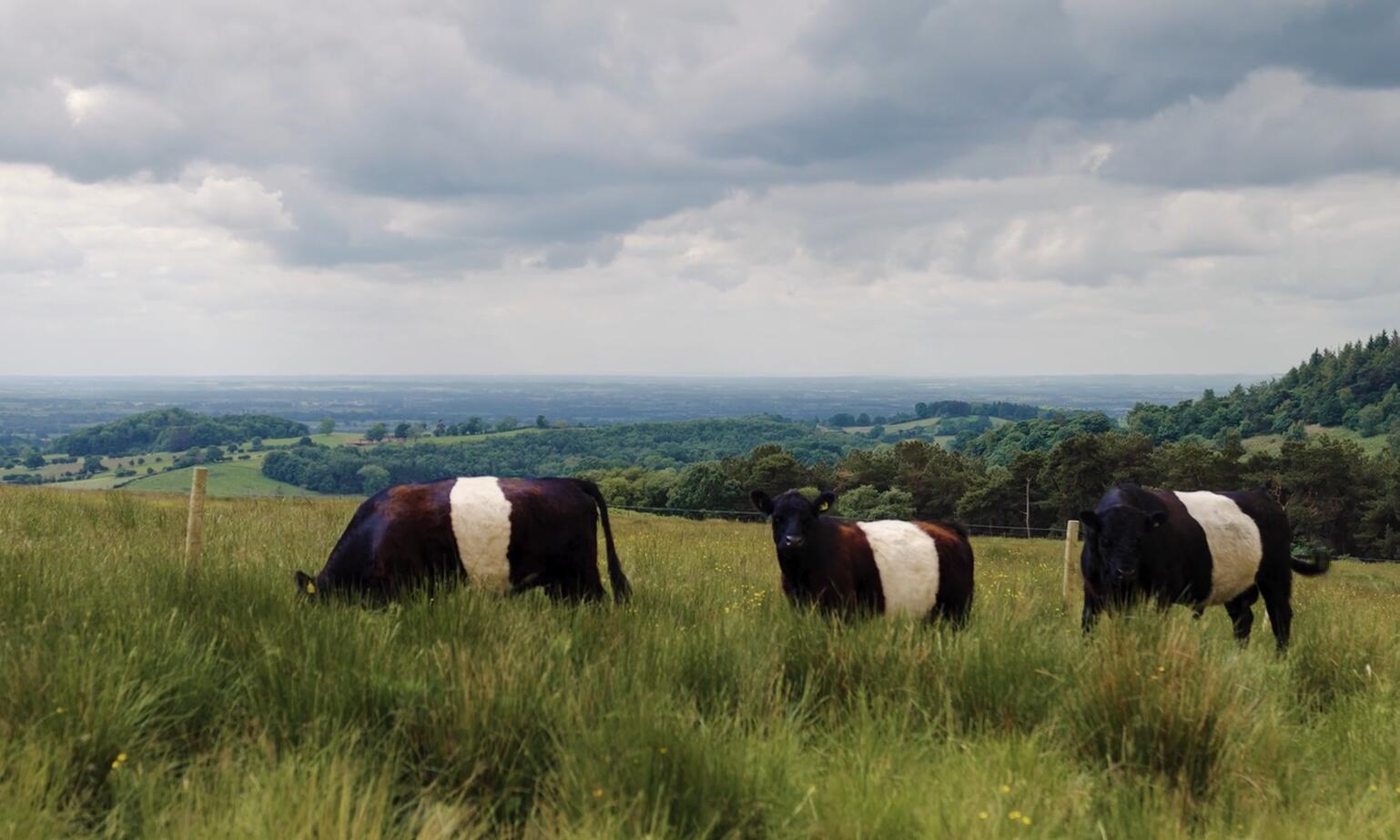 An Update from Our Founder | October 2022 - Farmison & Co