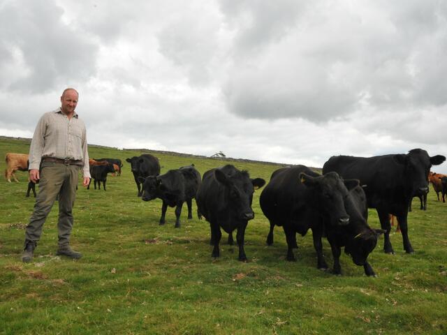 Meet our Farmers & Herds - Farmison & Co