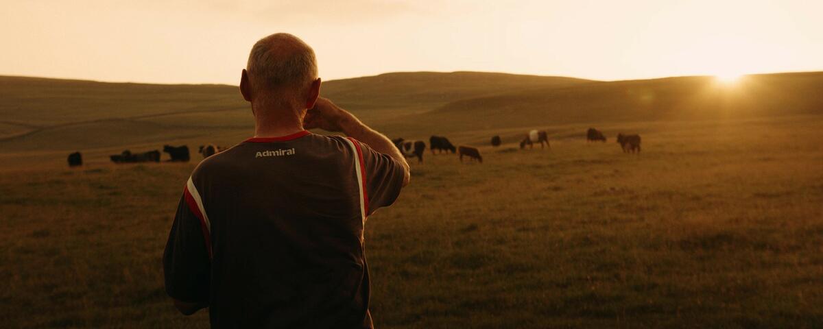 Watch The Holy Cow Film | Farmison & Co - Farmison & Co