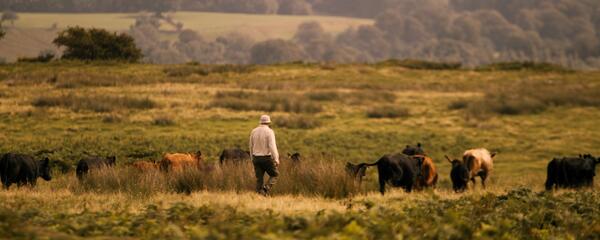 Meet our Farmers & Herds - Farmison & Co